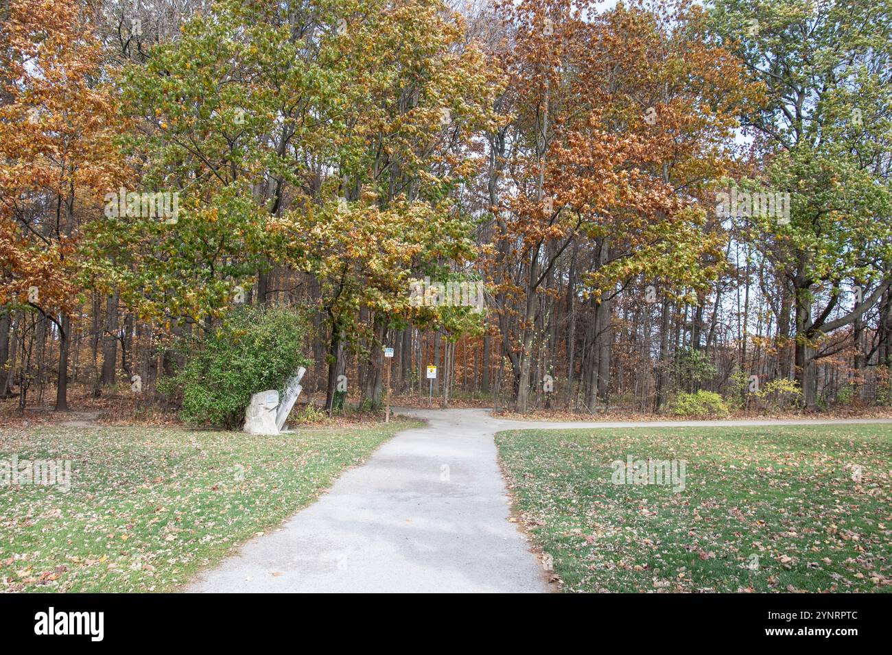 Hamilton street landscapes hi-res stock photography and images - Alamy