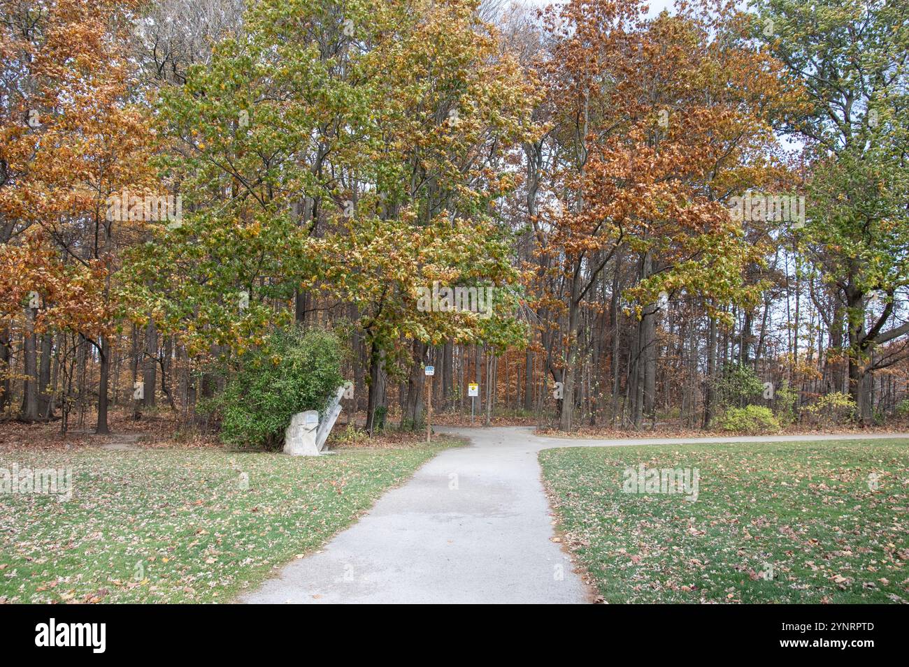 Hamilton street landscapes hi-res stock photography and images - Alamy