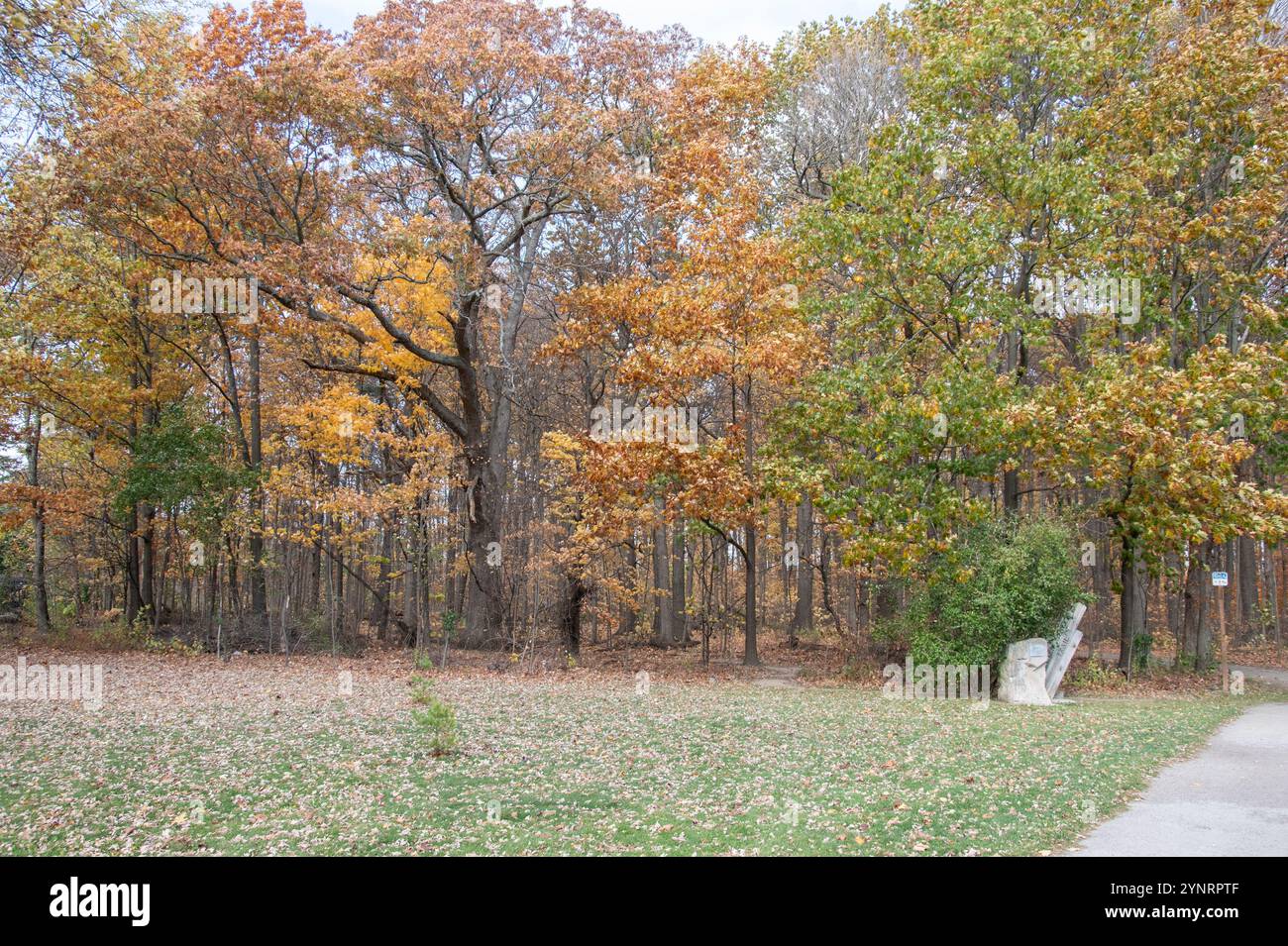 Hamilton street landscapes hi-res stock photography and images - Alamy