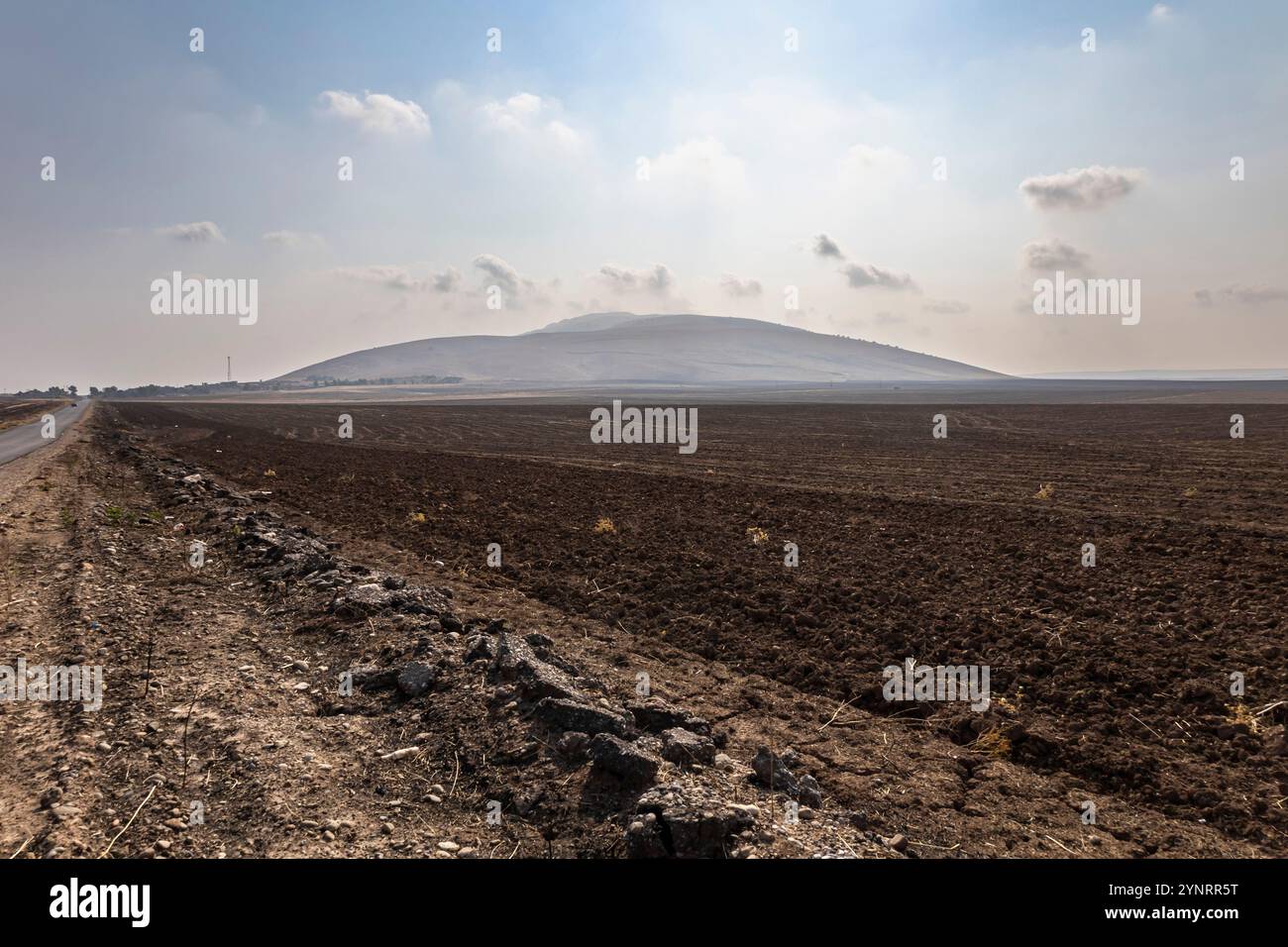 Battle of Gaugamela, Battle of Arbela, Battle field, Alexander the ...