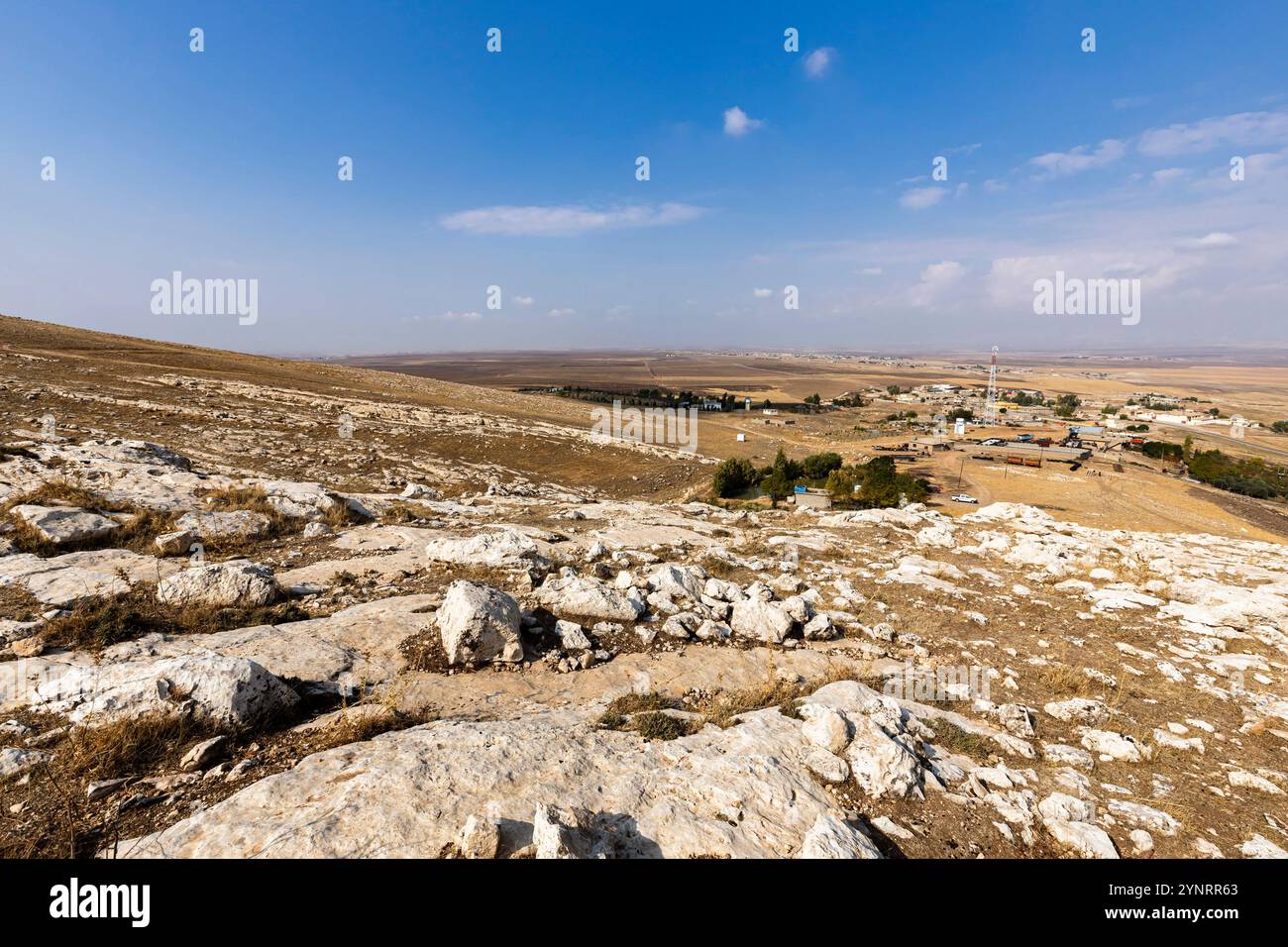 Battle of Gaugamela, Battle of Arbela, Battle field, Alexander the ...