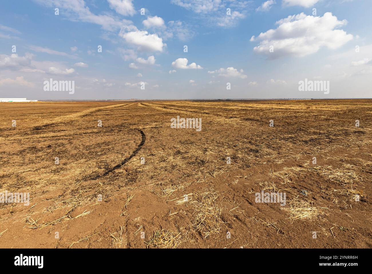 Battle of Gaugamela, Battle of Arbela, Battle field, Alexander the ...