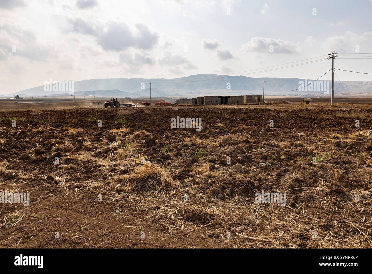 Battle of Gaugamela, Battle of Arbela, Battle field, Alexander the ...