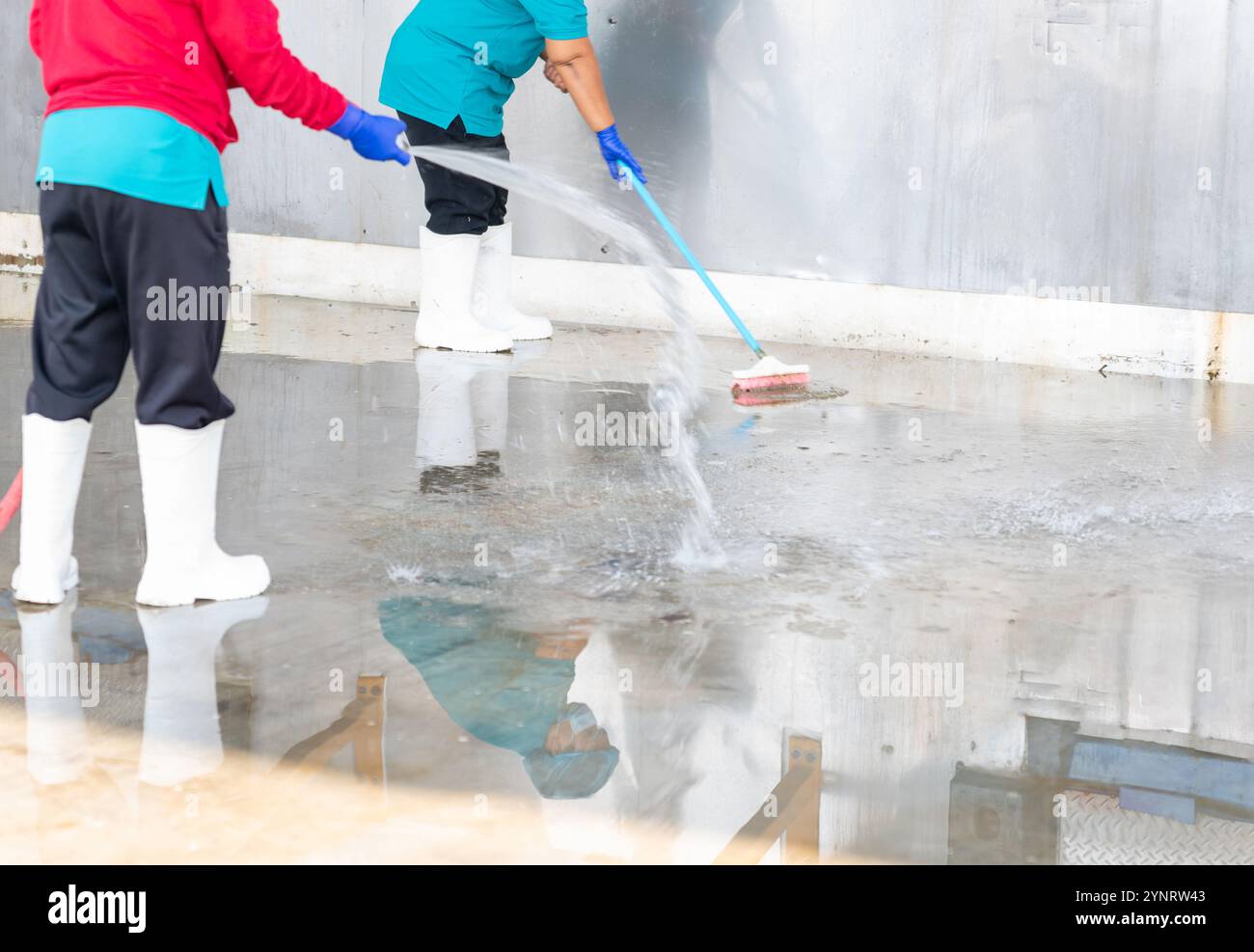Woman spray water and use mob clean floor in factory Stock Photo - Alamy