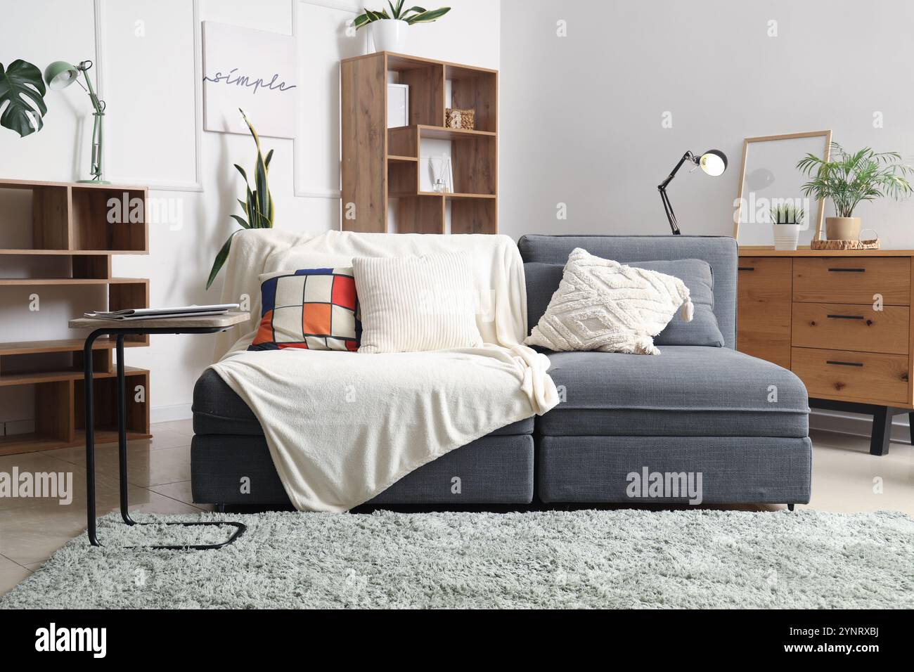 Interior of living room with sofa, drawers and shelf units Stock Photo ...