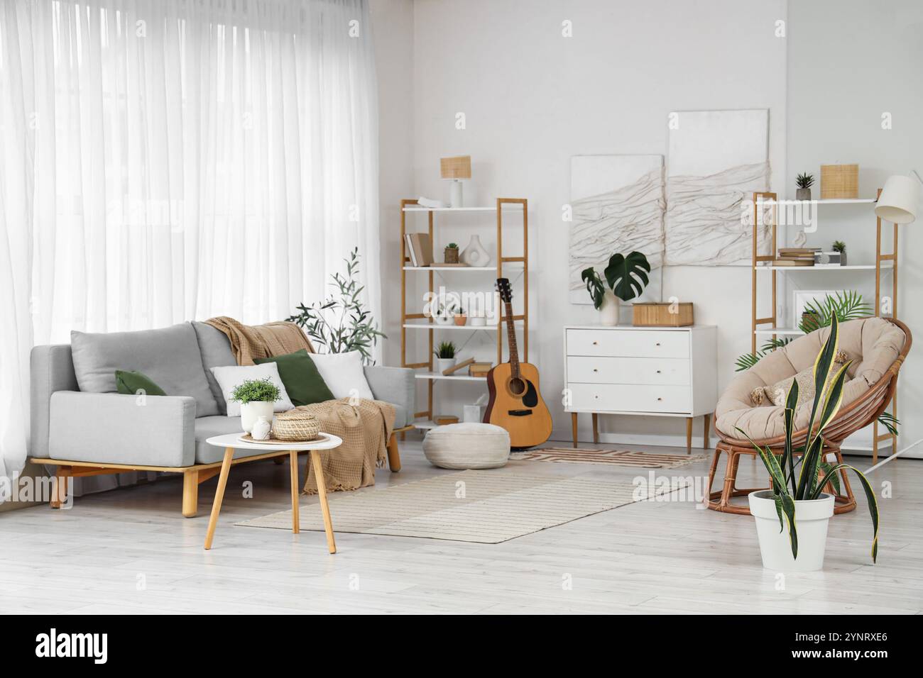 Interior of light living room with sofa, armchair and plants Stock ...