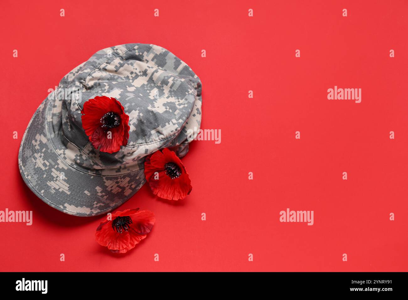 Poppy flowers with uniform on red background. Remembrance Day Stock ...