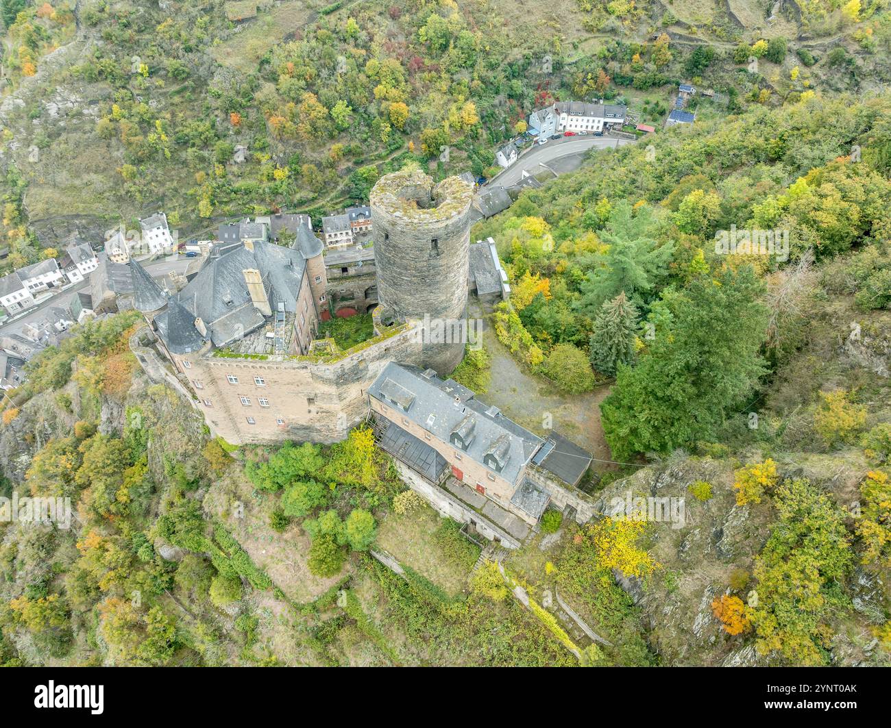 Cat aerial hi-res stock photography and images - Alamy
