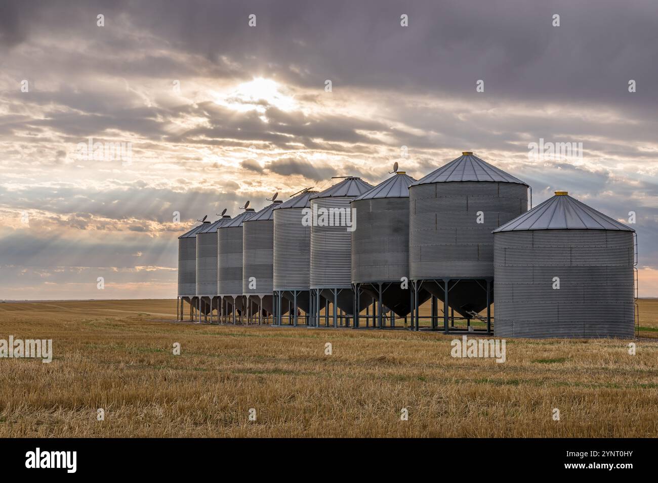 steel granaries lined up in the harvested field, under a cloudy sky, at ...