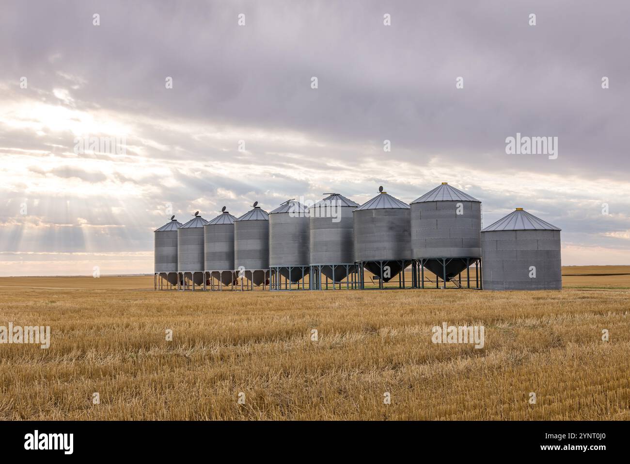 steel granaries lined up in the harvested field, under a cloudy sky, at ...