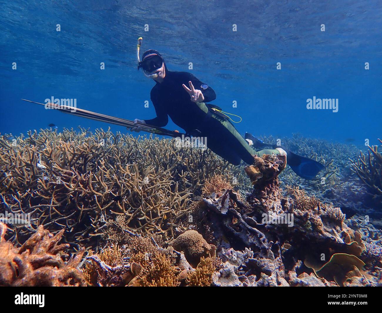 Indonesia Anambas Islands - Spearfishermen in the coral reef Stock ...
