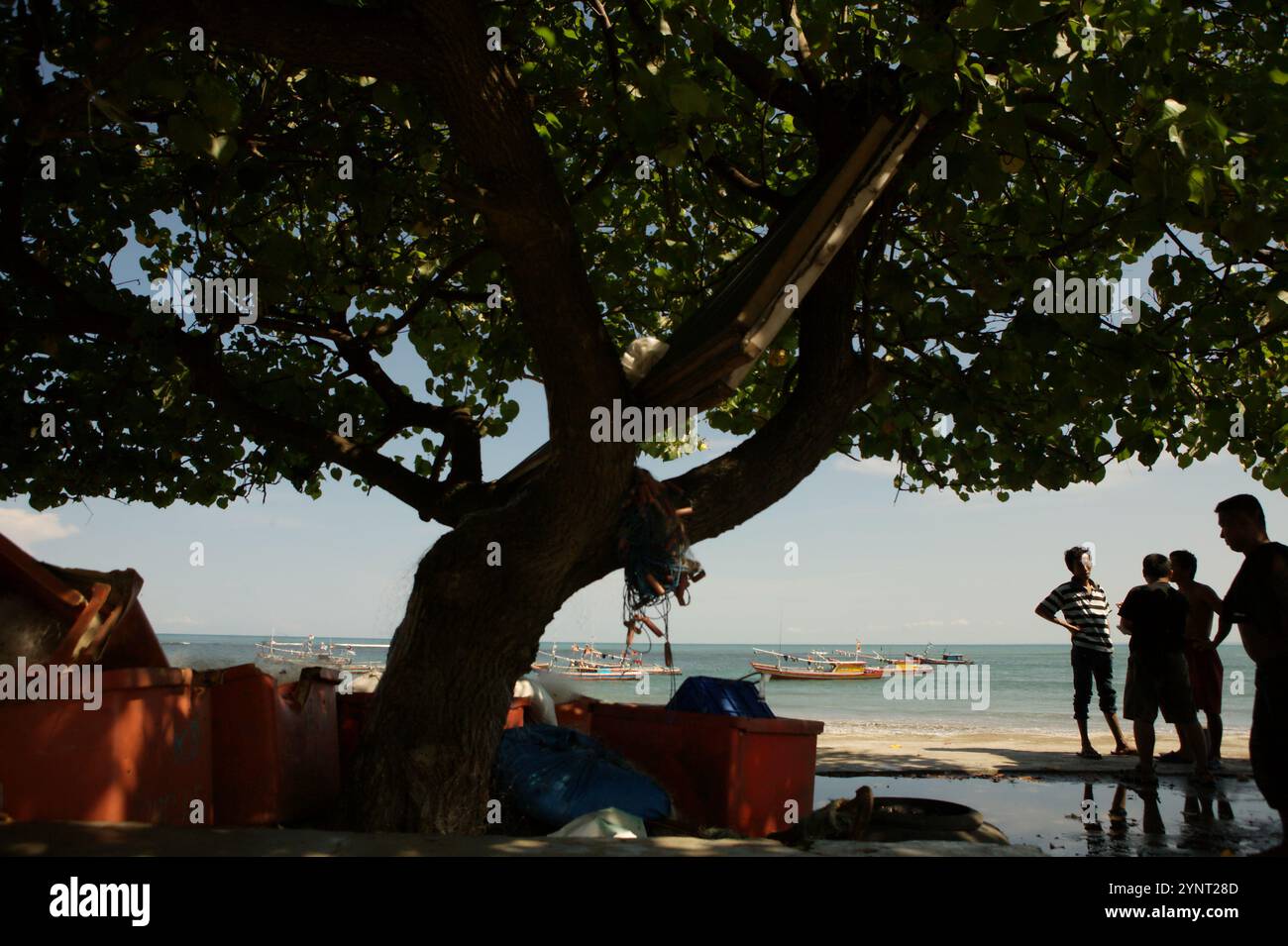 Silhouette of men having conversation below a tree in a background of ...
