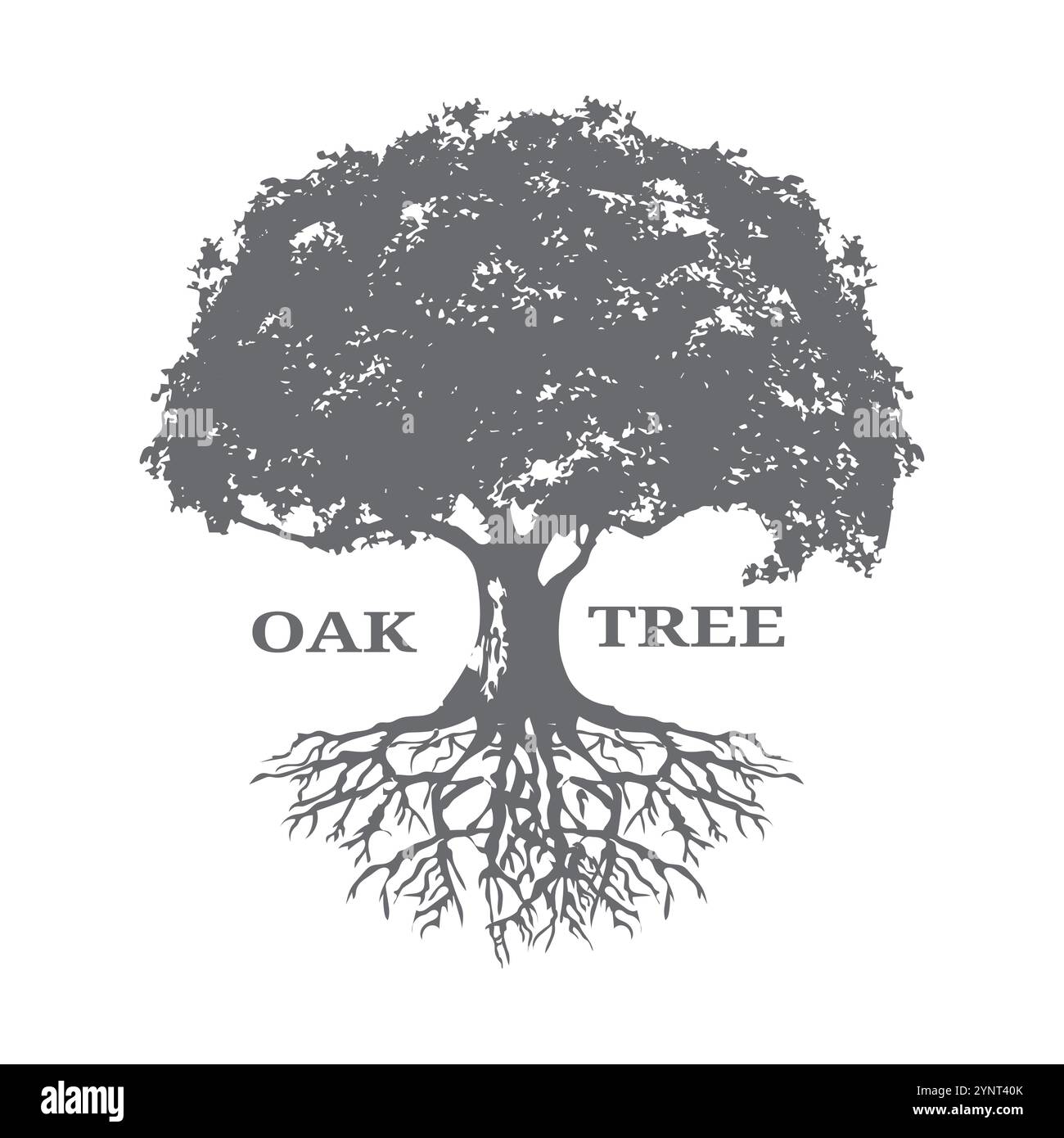 Oak Tree Silhouette with Roots spreading underground. Suitable for ...