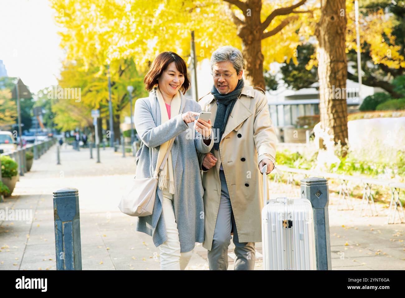 Travelling couple checking on their phone Stock Photo - Alamy