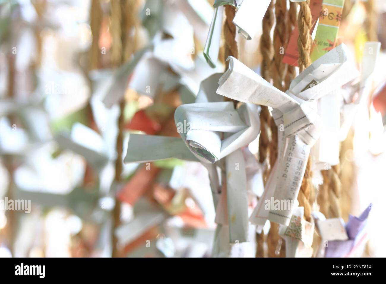Omikuji (fortune) ticket Stock Photo - Alamy