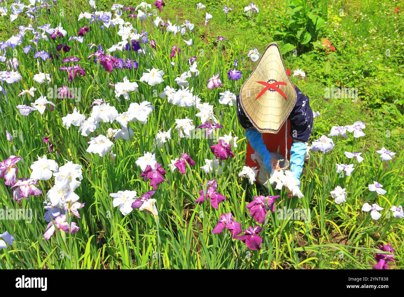 Seseragi park hi-res stock photography and images - Alamy