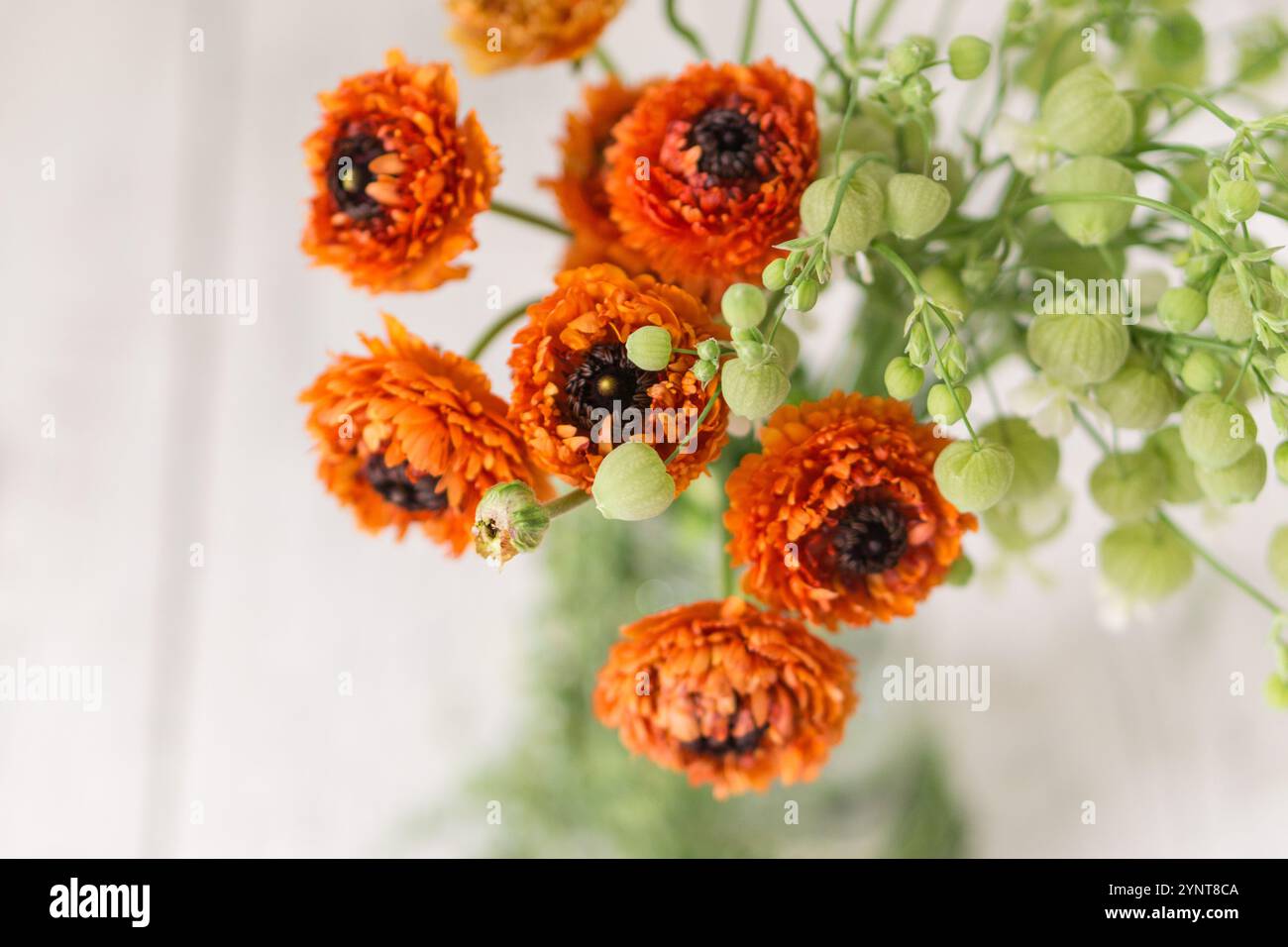 Orange yellow ranunculus hi-res stock photography and images - Alamy