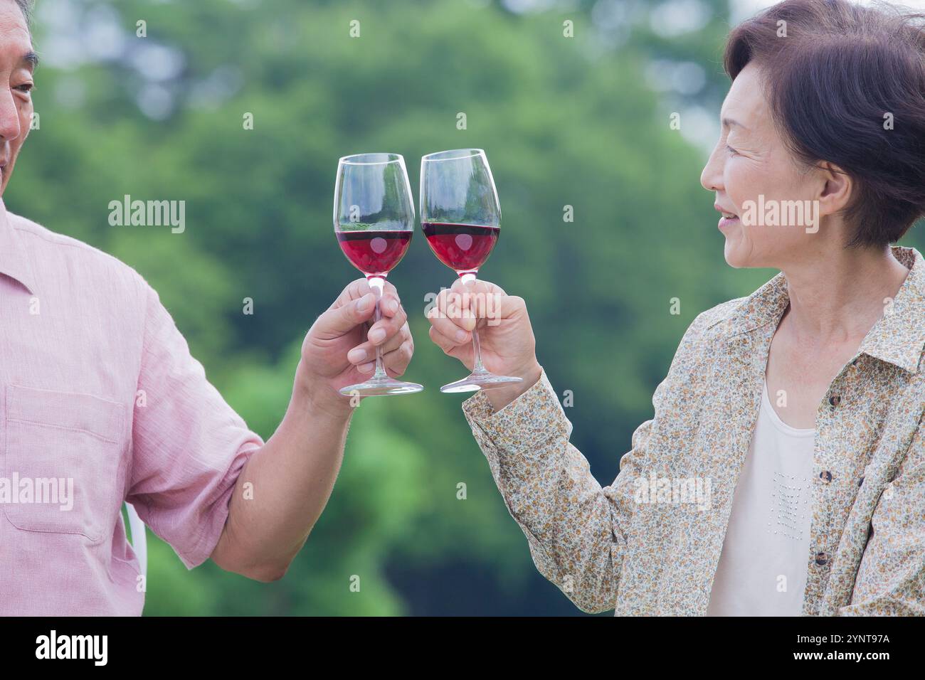 A couple making a toast Stock Photo - Alamy