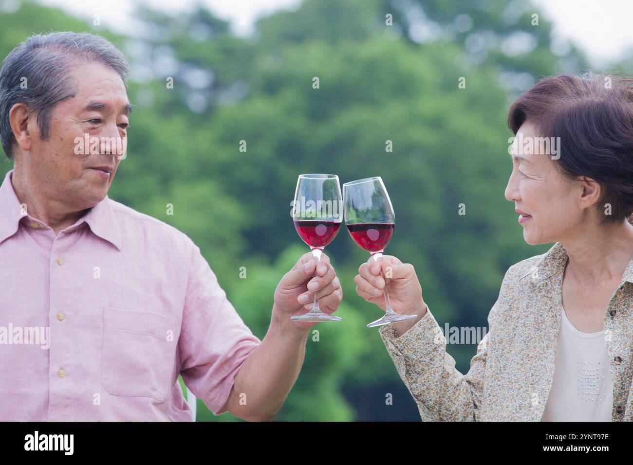 A couple making a toast Stock Photo - Alamy
