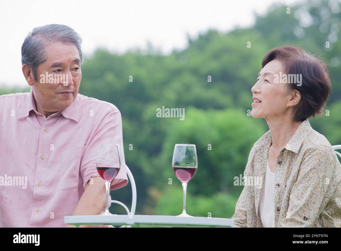 A couple making a toast Stock Photo - Alamy