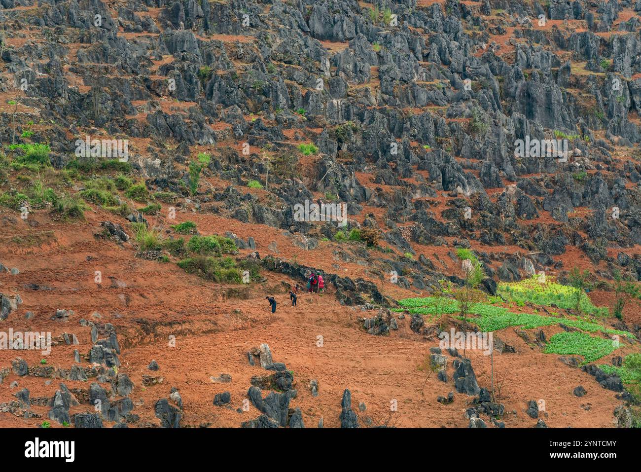 Spring and the peaceful life of the Hmong ethnic group in Ha Giang ...