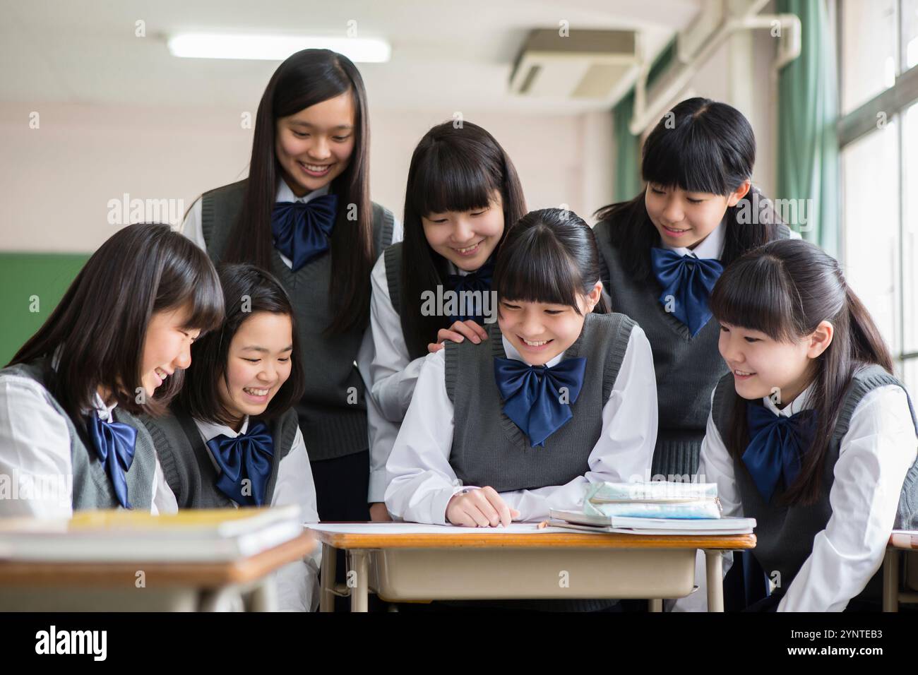 Female student studying Stock Photo - Alamy