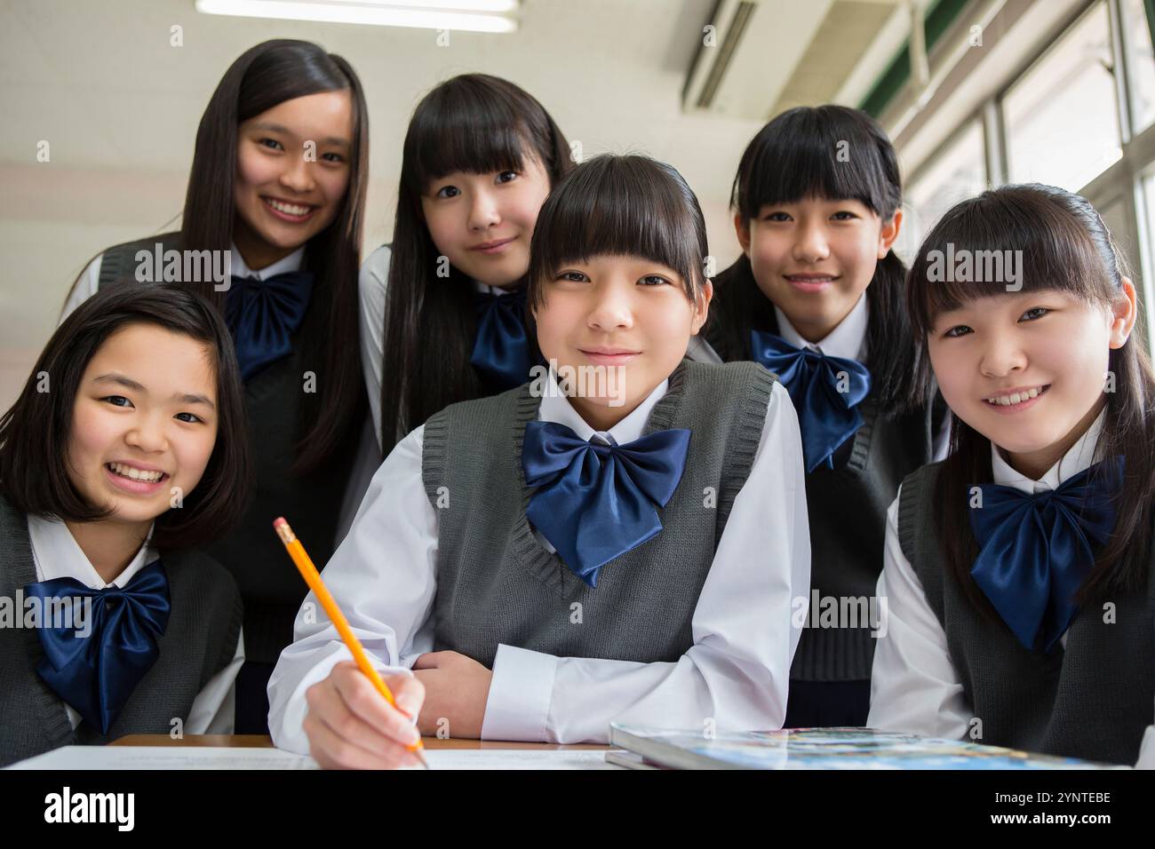 Female student studying Stock Photo - Alamy
