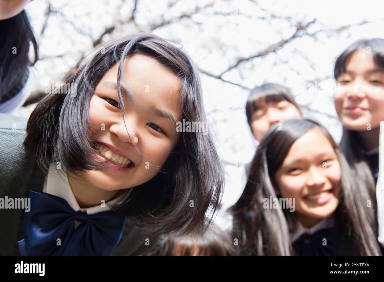 Schoolgirls study school in hi-res stock photography and images - Alamy
