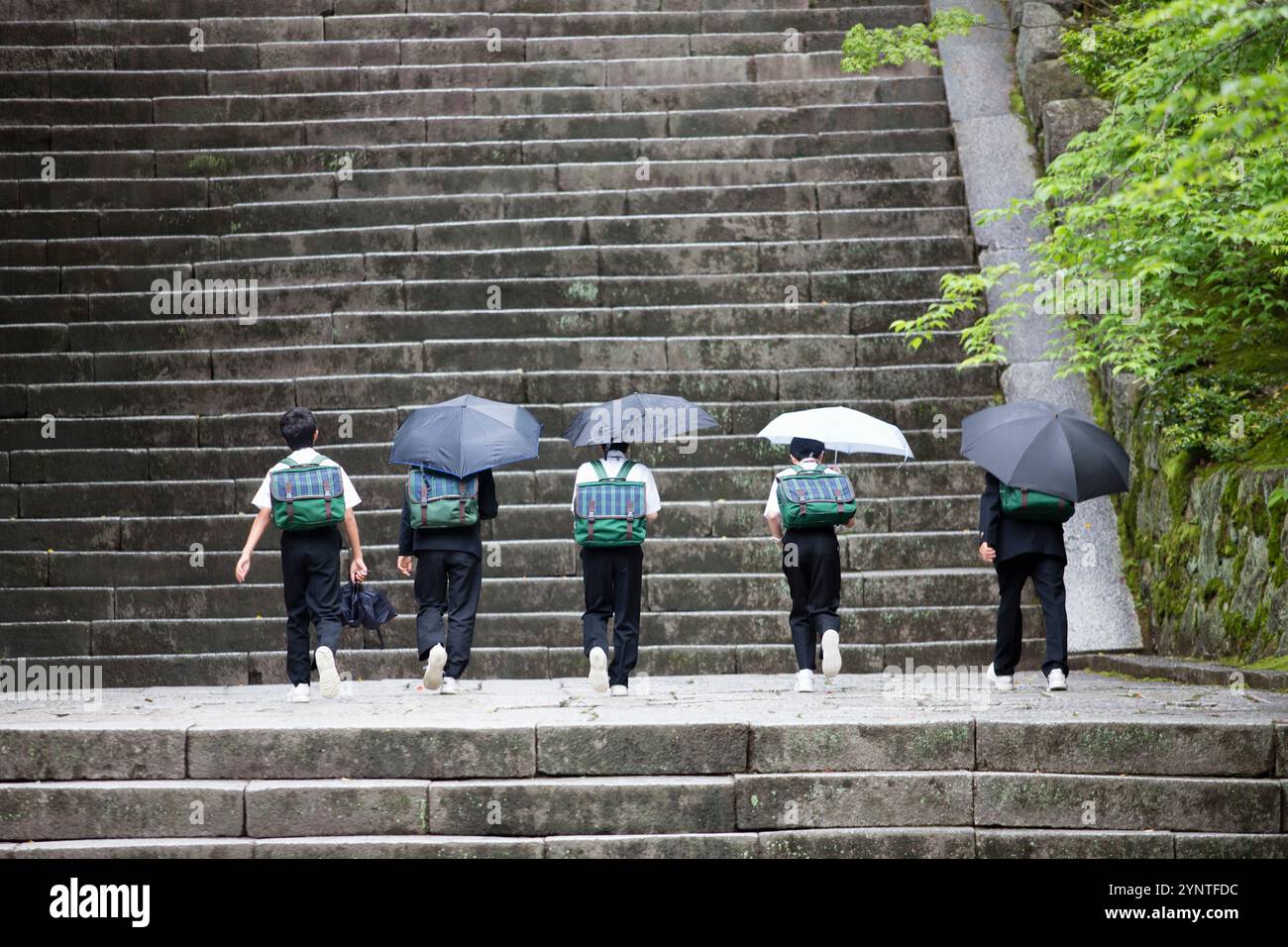 Junior high school students with umbrellas Stock Photo - Alamy