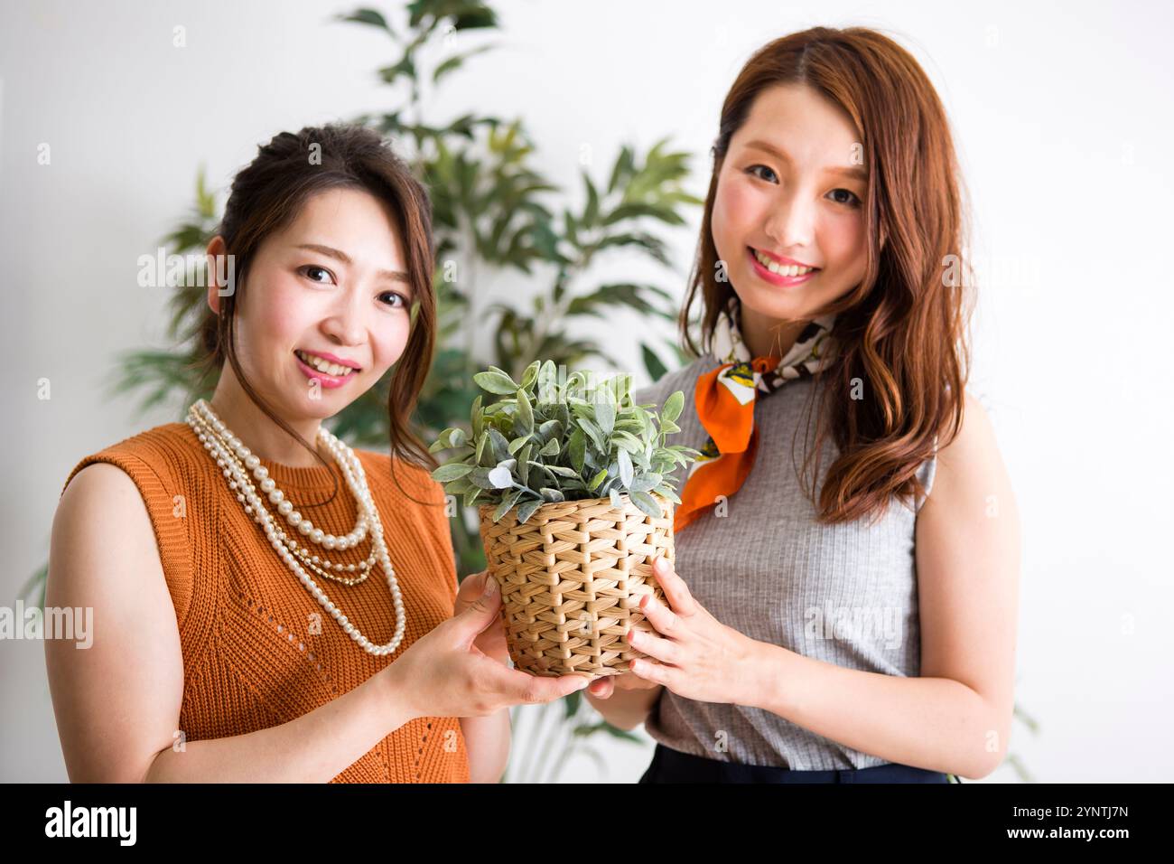 Women with planted trees Stock Photo - Alamy