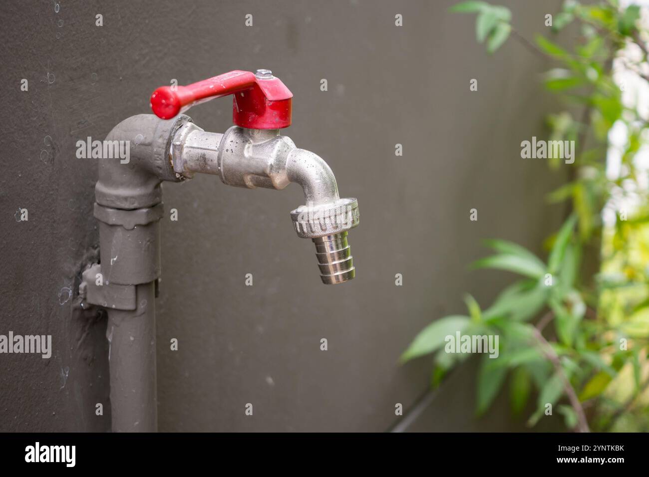 Close up water tap hi-res stock photography and images - Alamy