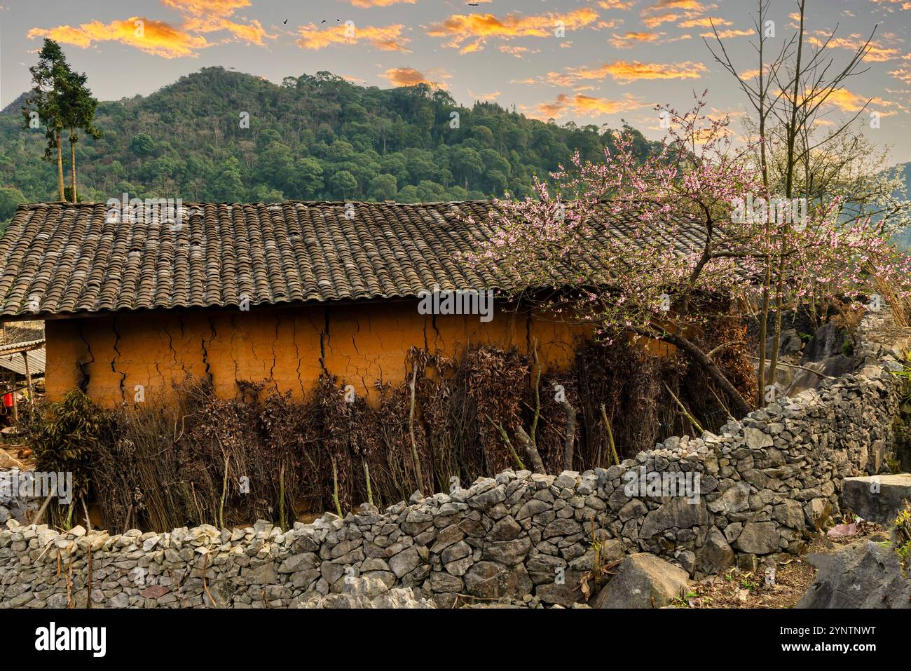 Spring and the peaceful life of the Hmong ethnic group in Ha Giang ...