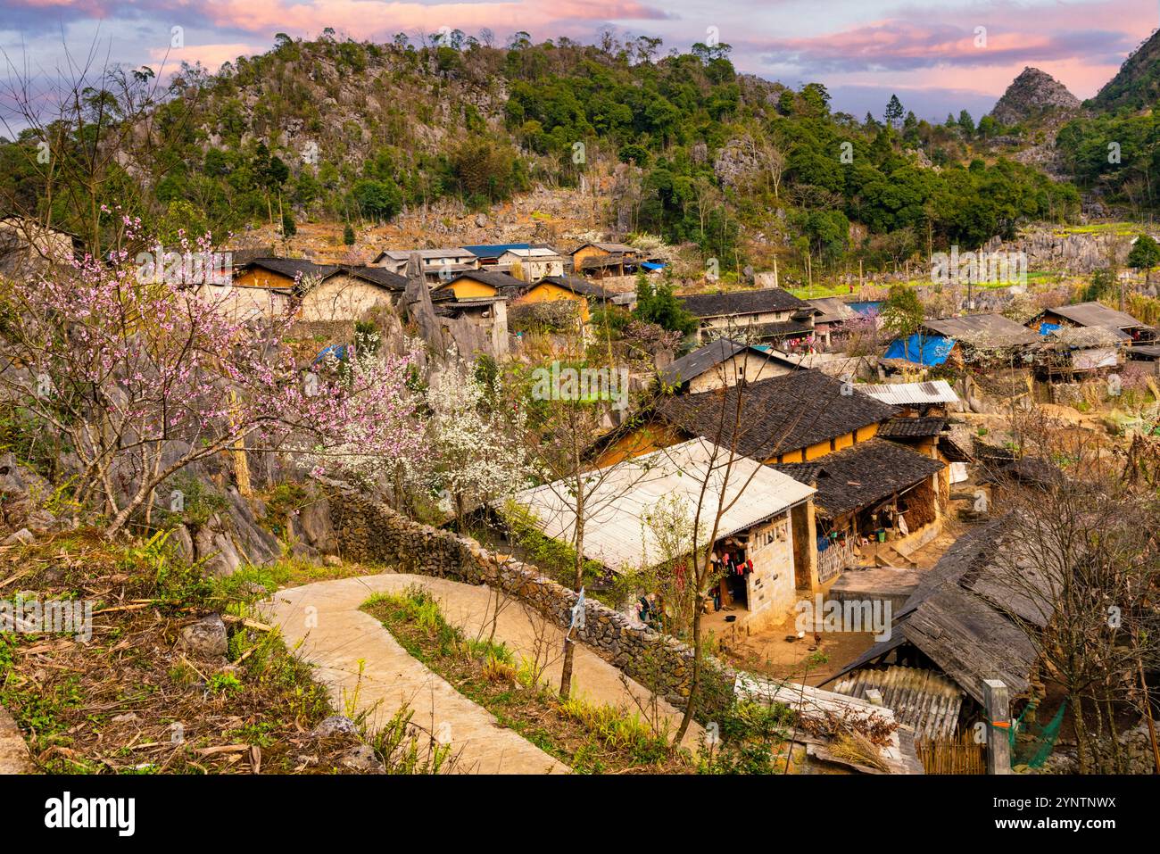 Spring and the peaceful life of the Hmong ethnic group in Ha Giang ...