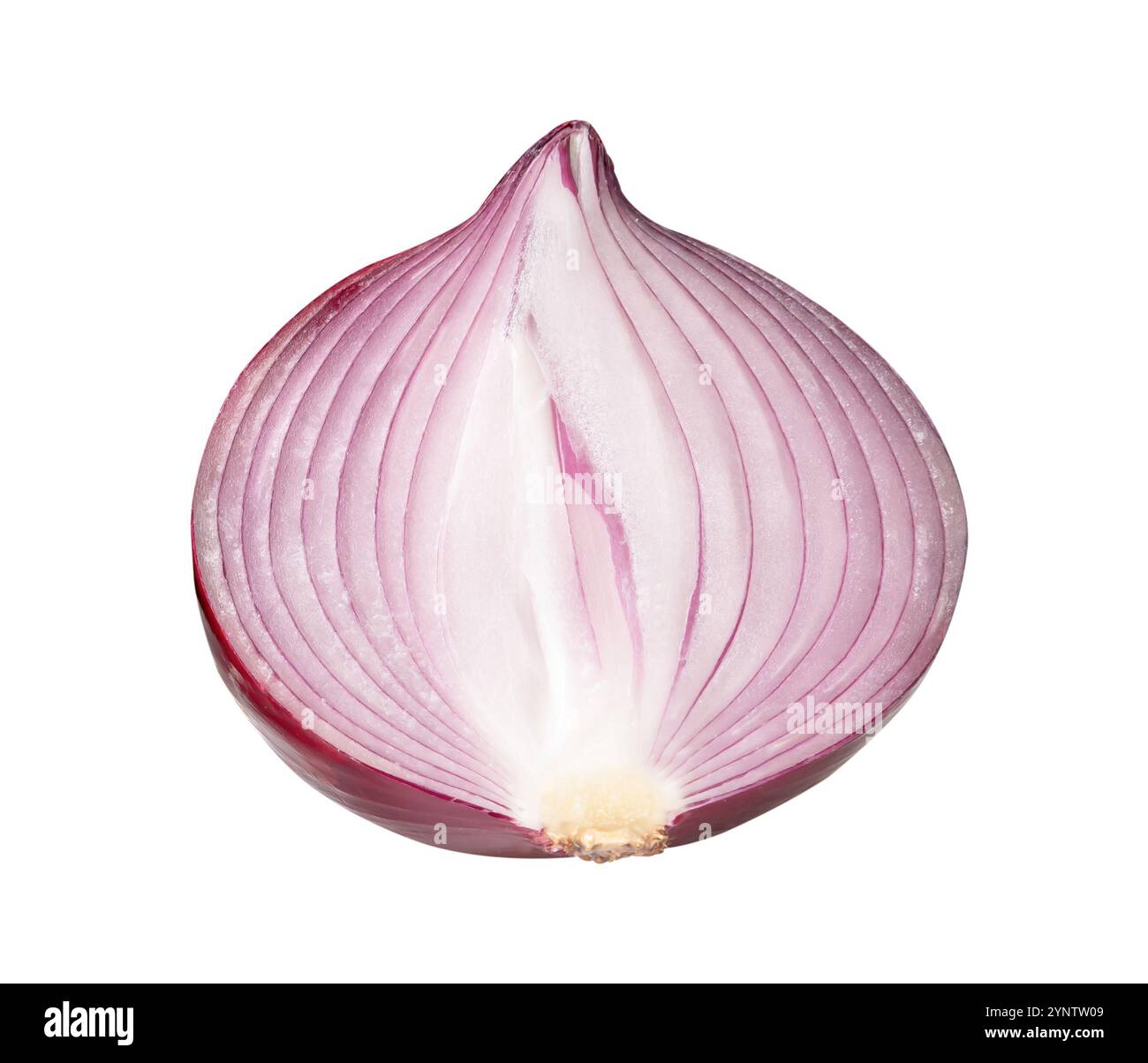 Top view of big red or purple onion bulb in half is isolated on white ...
