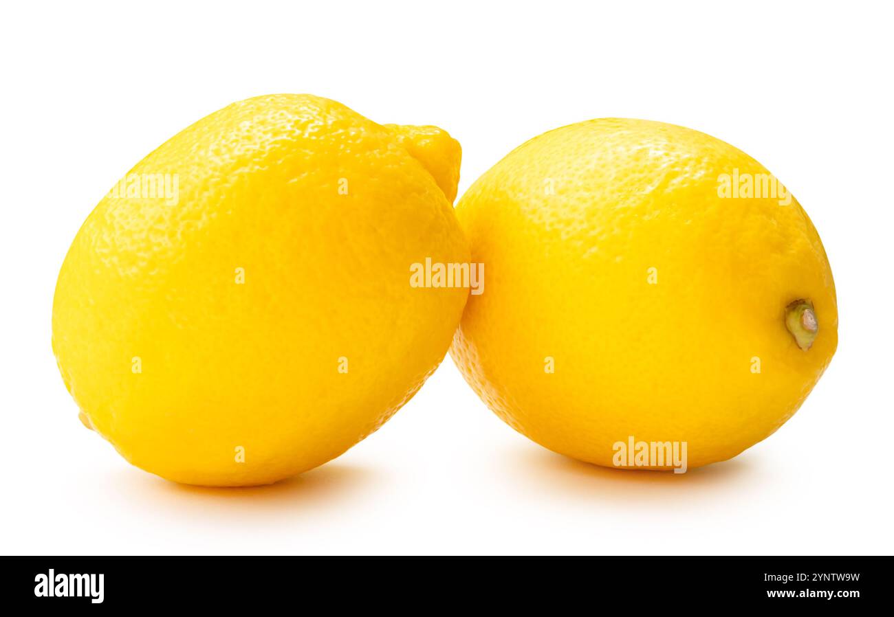 Side view of two fresh ripe yellow lemon fruit in stack is isolated on ...