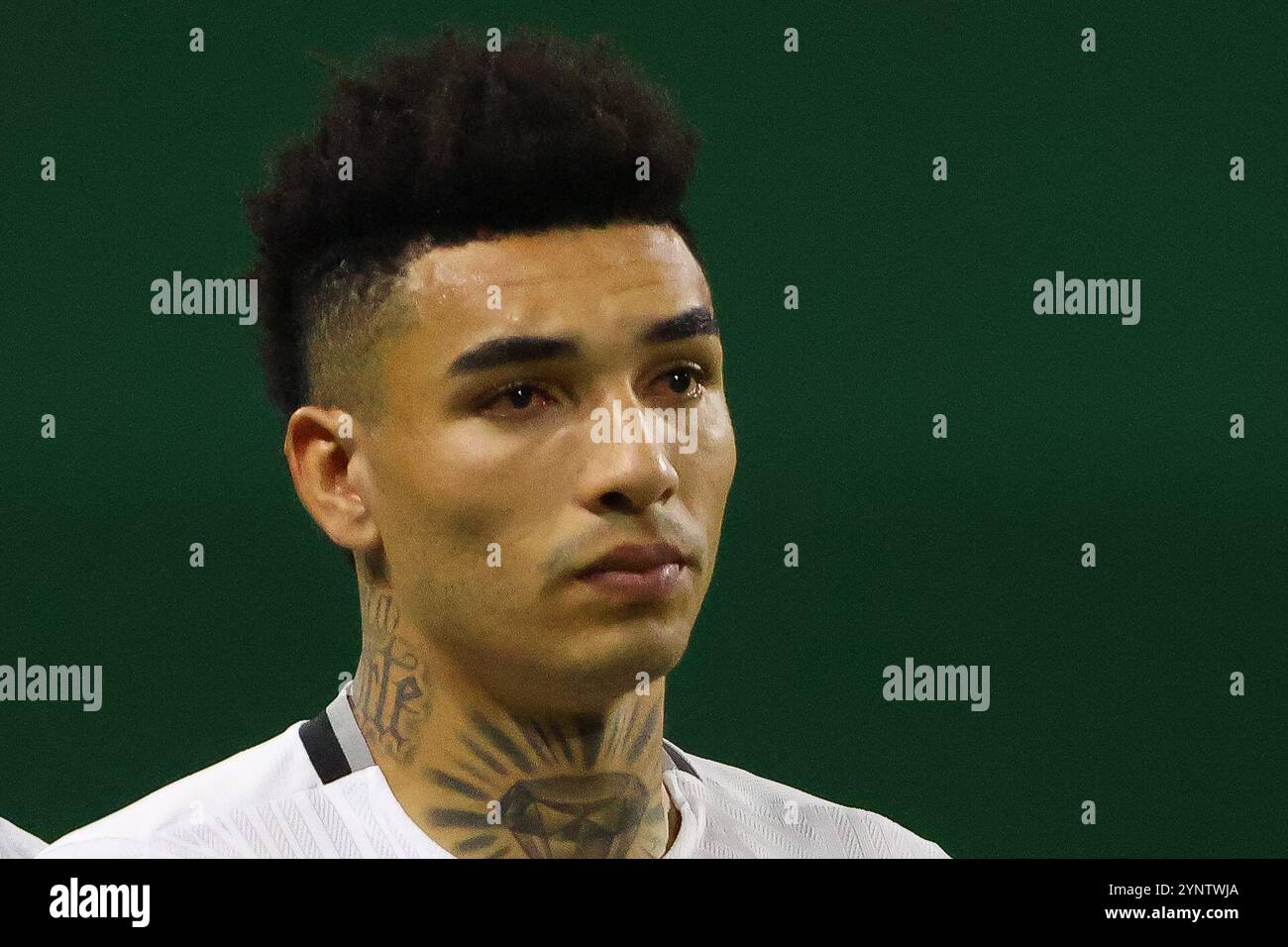 SP - SAO PAULO - 11/26/2024 - BRAZILIAN A 2024, PALMEIRAS x BOTAFOGO ...