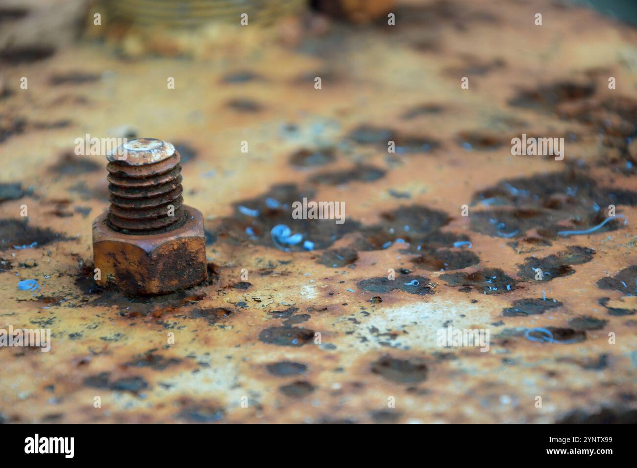 Rusty shiny metal fasteners hi-res stock photography and images - Alamy