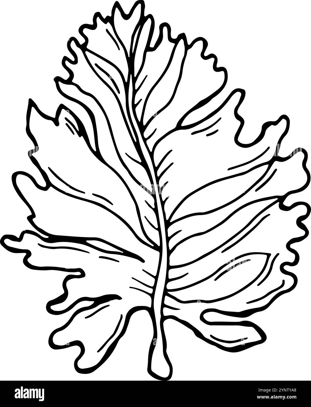 Underwater plant drawing. Ocean nature. Aquarium seaweed Stock Vector ...