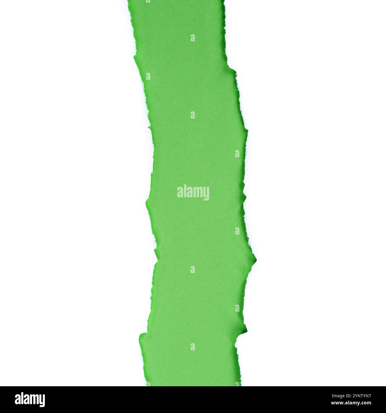 Paper, background and green tear for mockup space, colorful texture or ...