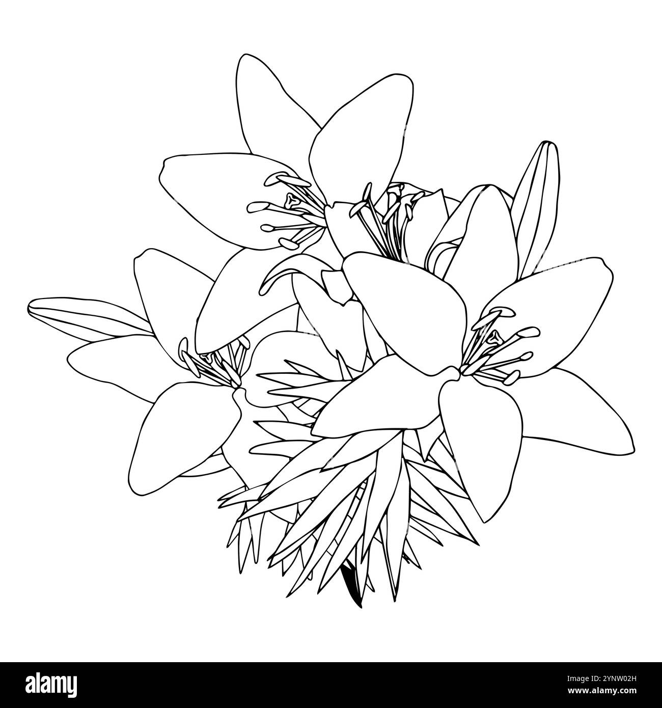 Bouquet of lilies in doodle style. Openwork illustration isolated on white background Stock ...