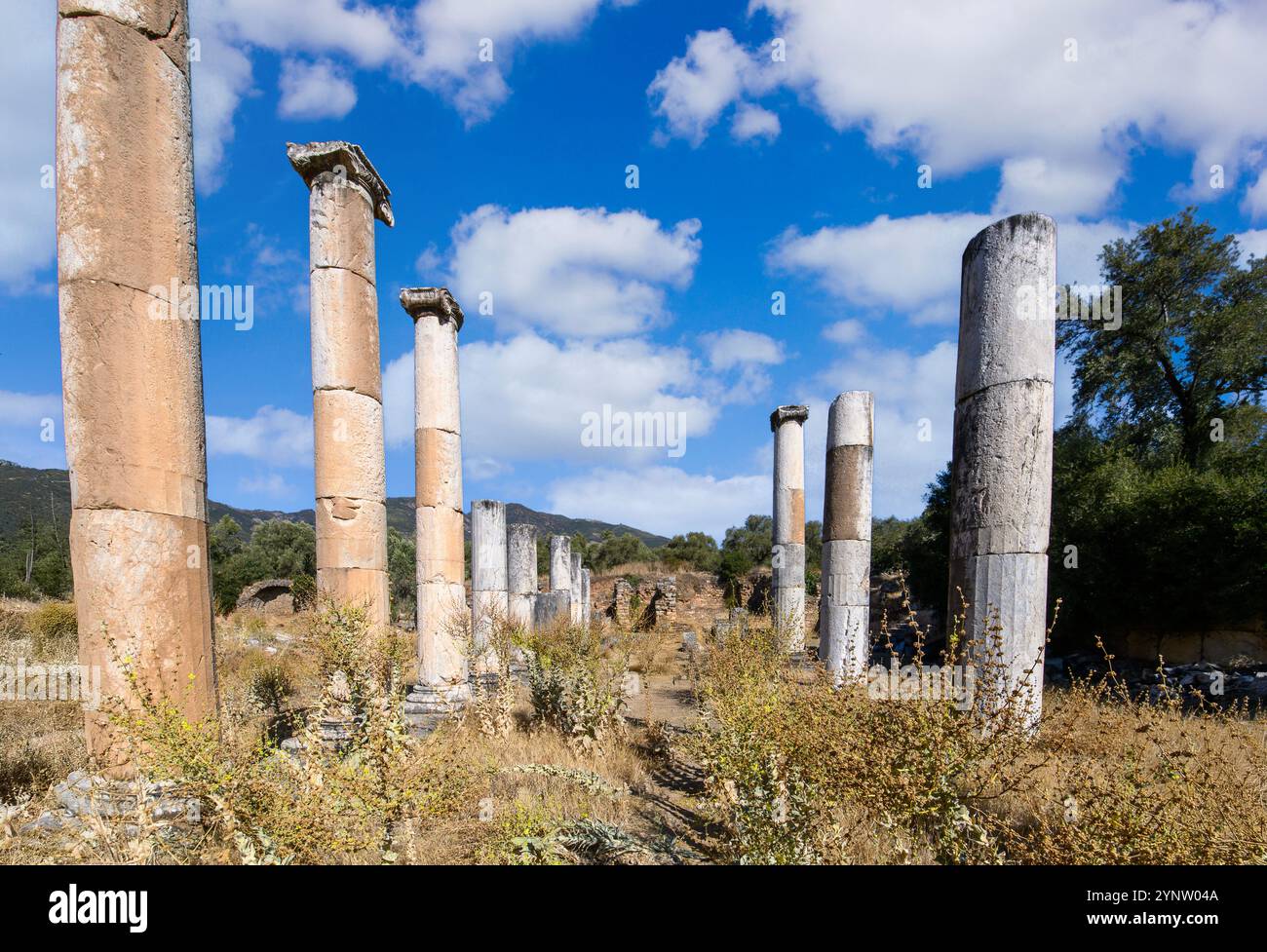 Nysa Ancient City in Sultanhisar, Turkey. Nysa on the Maeander in ...