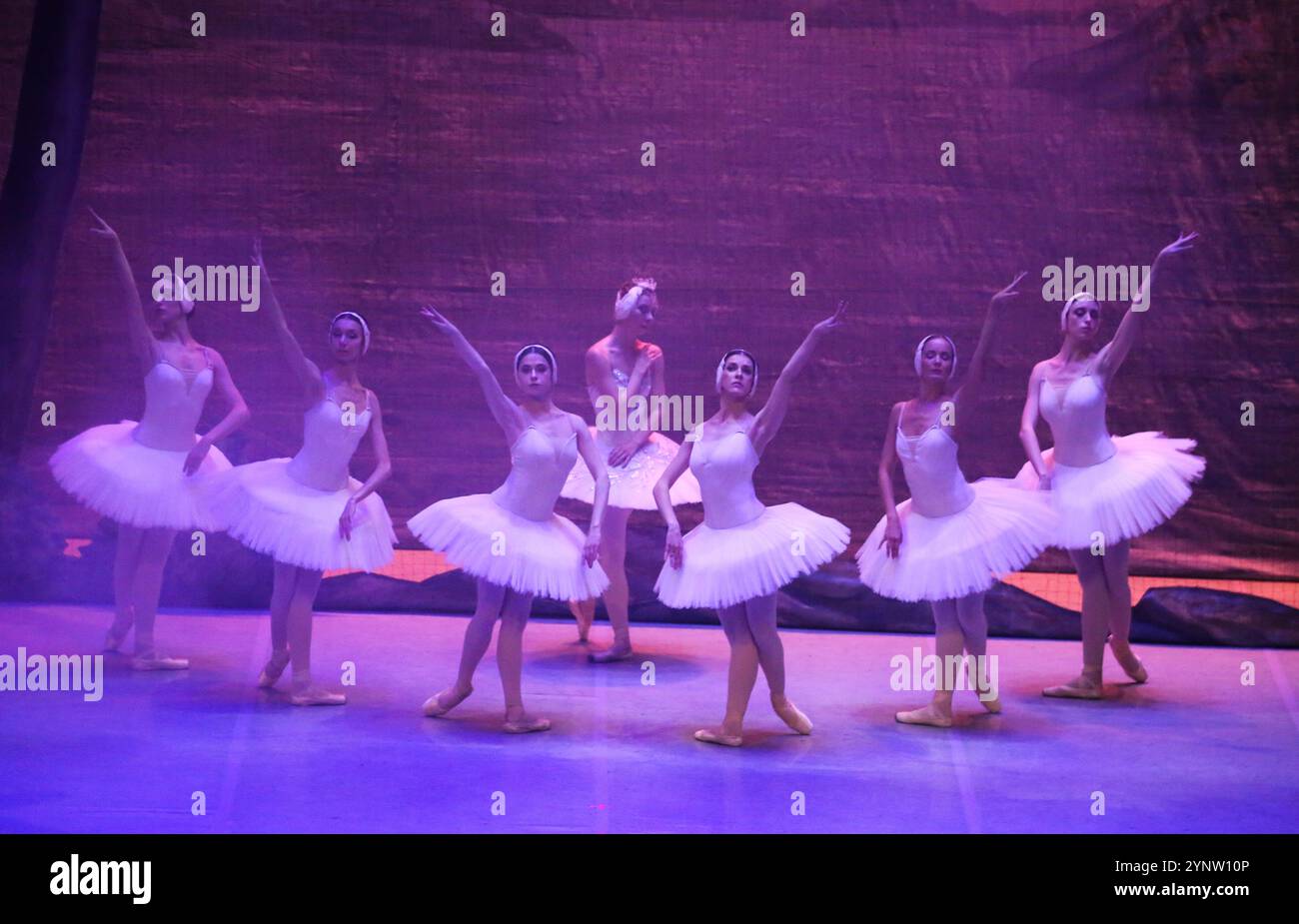 Ballet dancers perform in 'Swan Lake' at the Linkoping Concert ...