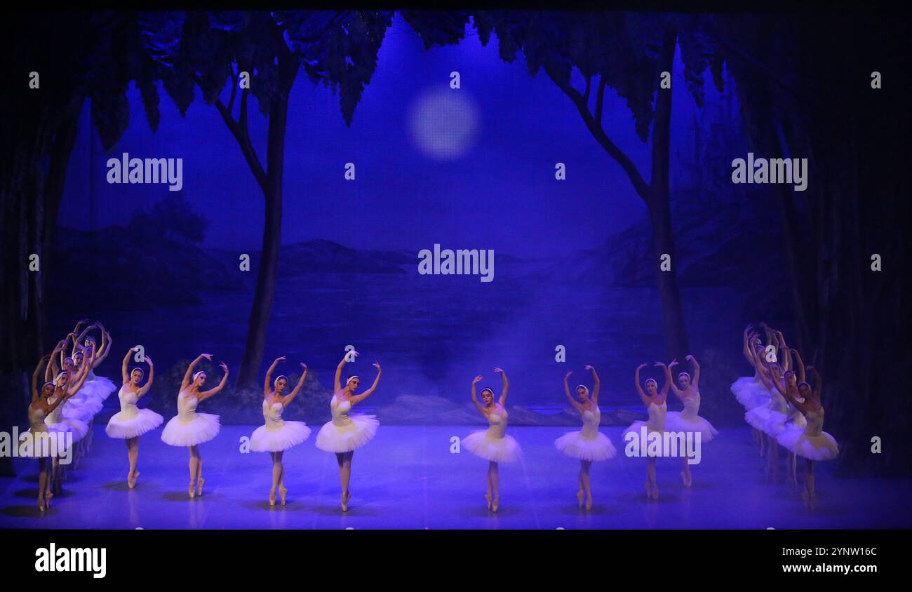 Ballet dancers perform in 'Swan Lake' at the Linkoping Concert ...