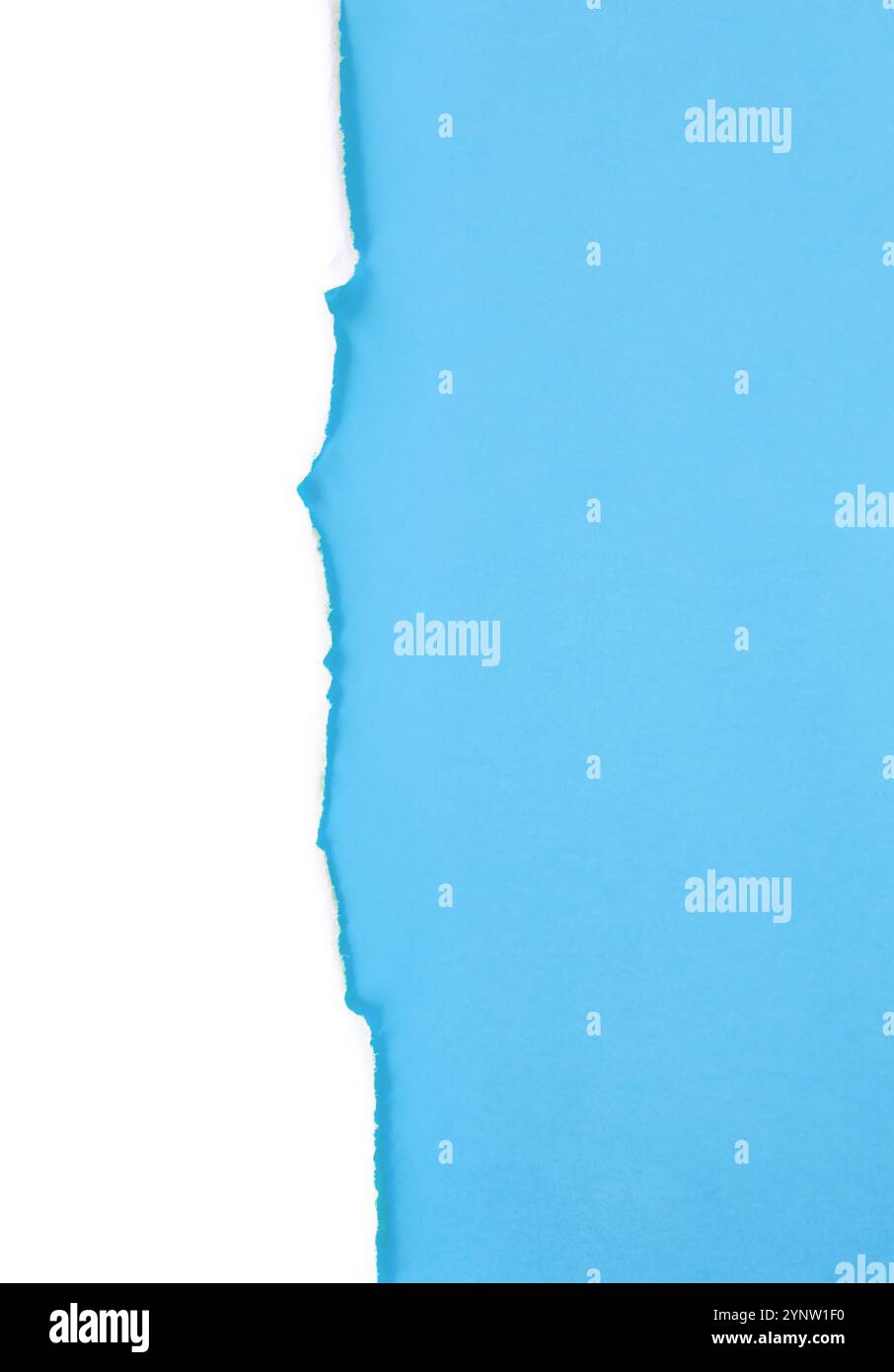 Paper, background and blue rip for mockup space, colorful texture or ...