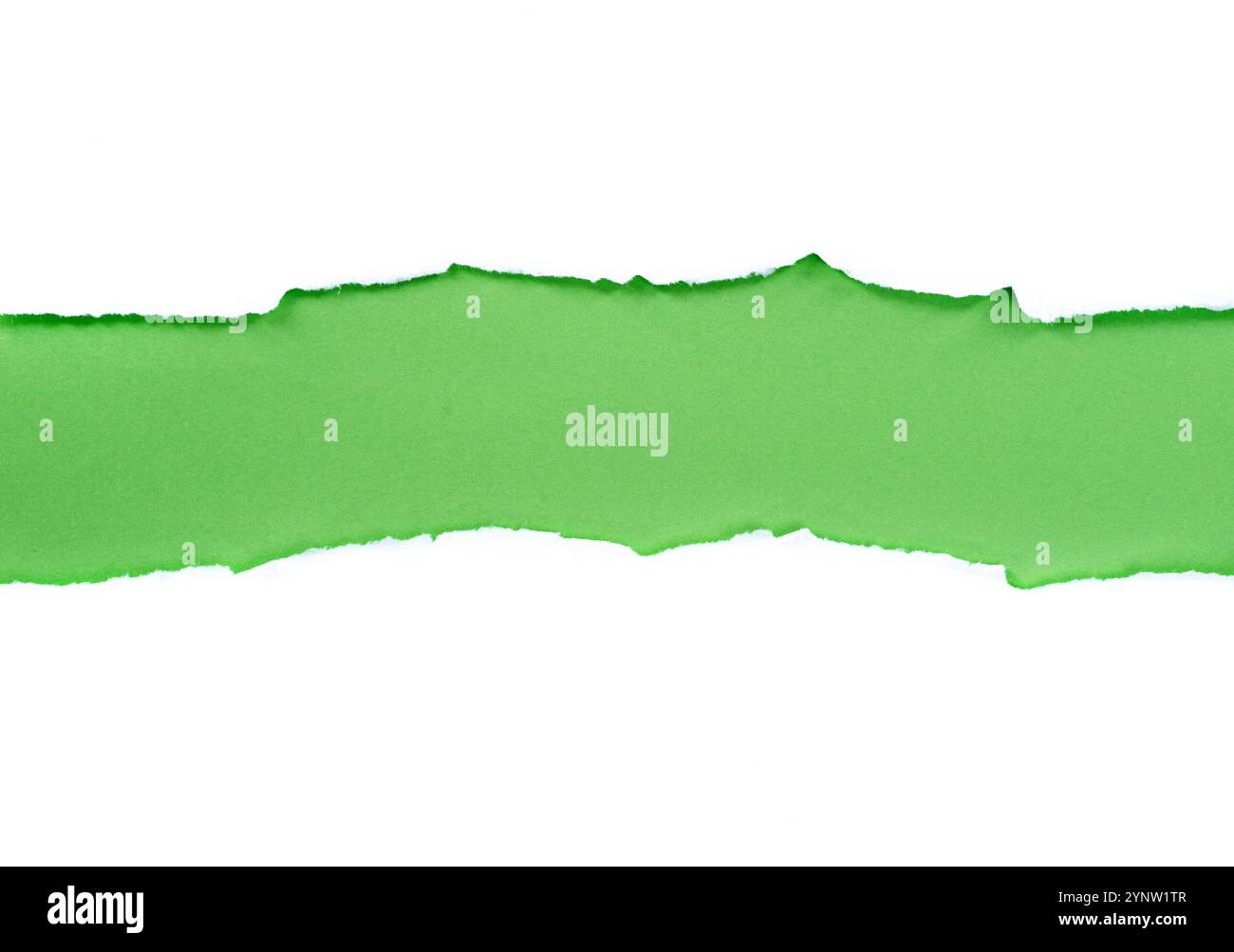 Paper, background and green rip for mockup space, colorful texture or ...