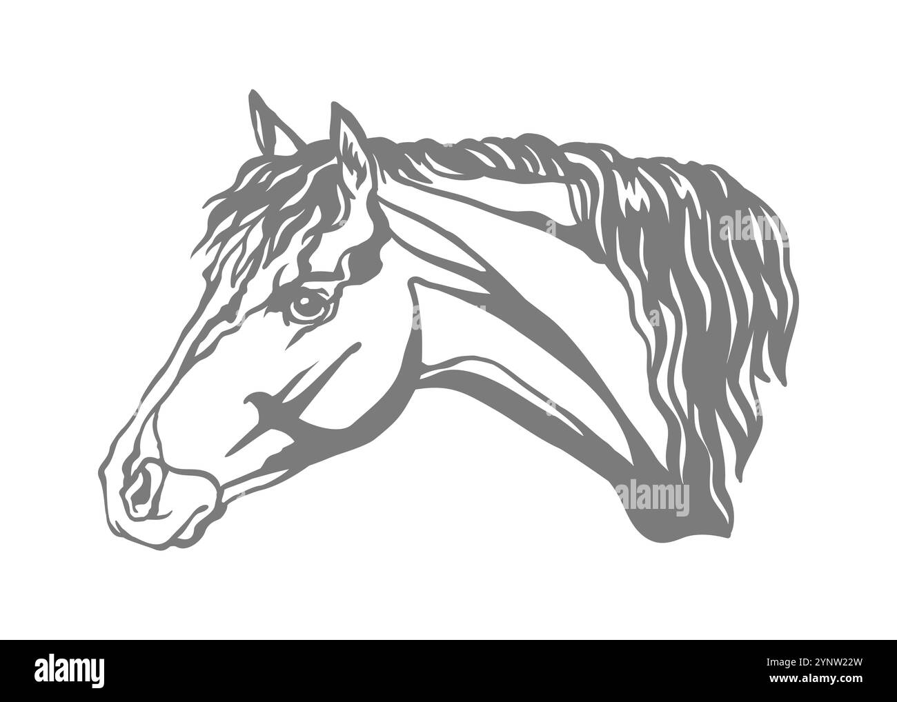 Pony illustration Black and White Stock Photos & Images - Alamy