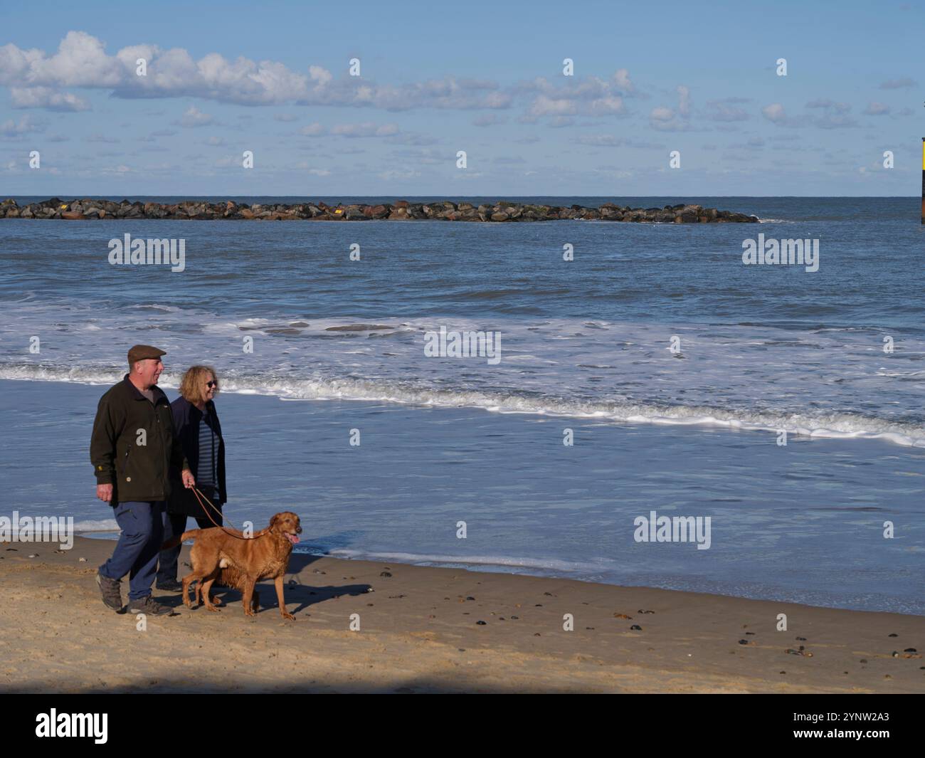 Couple walking dog on Sea Palling Beach Norfolk Stock Photo - Alamy