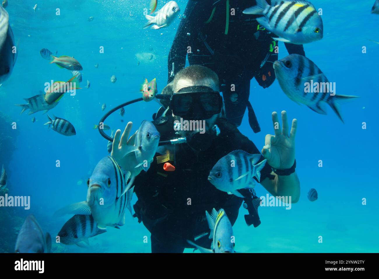 Scuba diver making sign okay Stock Photo - Alamy