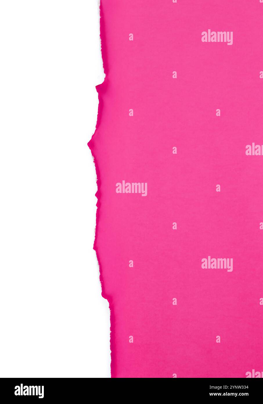 Paper, background and pink rip for mockup space, colorful texture or ...