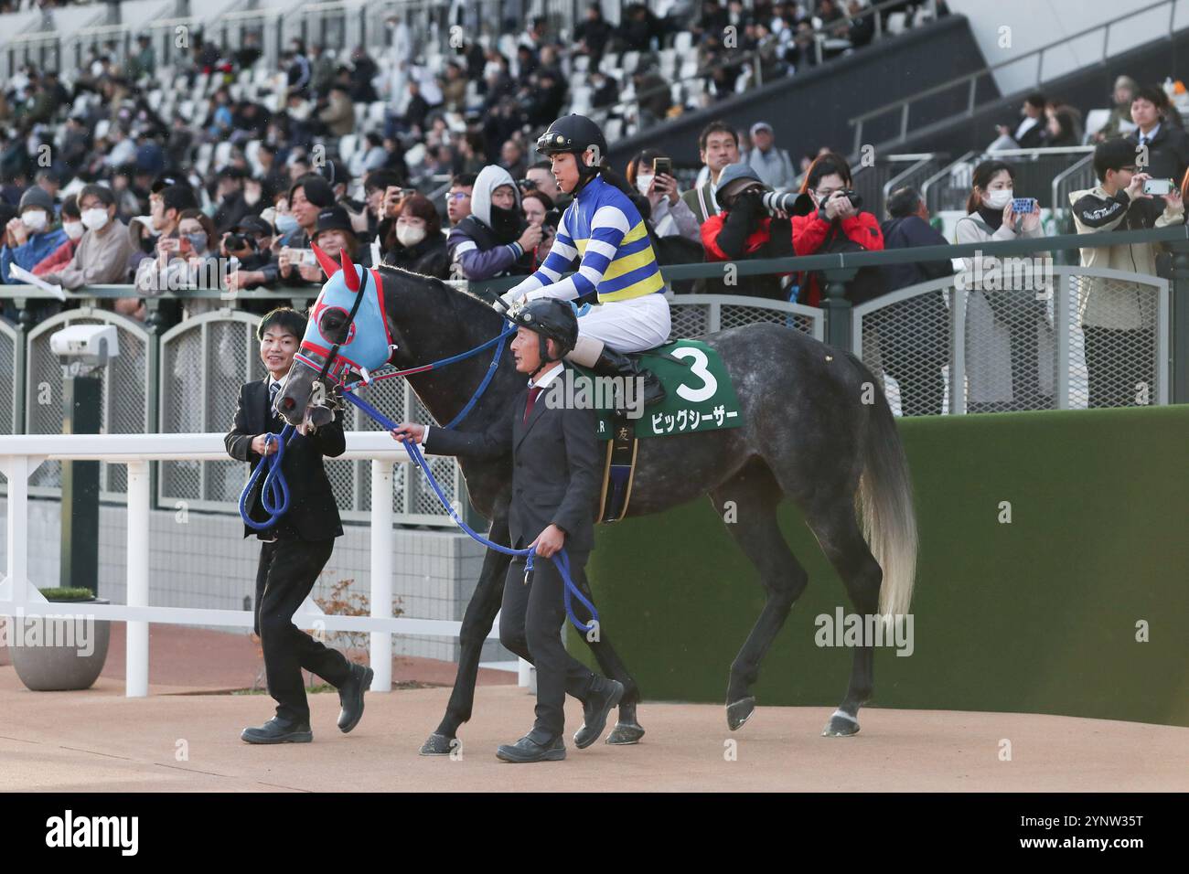 2024/11/24 KYOTO 12R THE KEIHAN HAI Big Caesar/Yuichi Kitamura Jockey ...